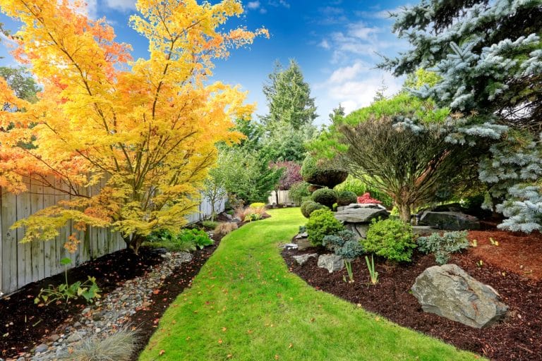 Factors to Consider in Backyard Landscaping Design Ideas